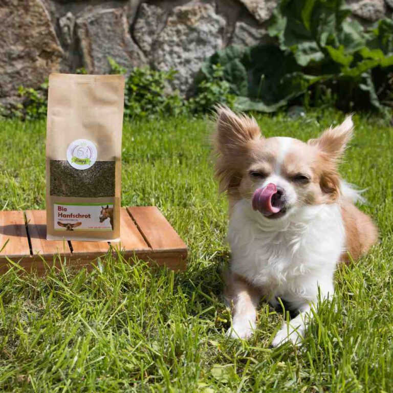 Futterhanf Hanf - Gesundes aus Hanf für Hund und Pferd